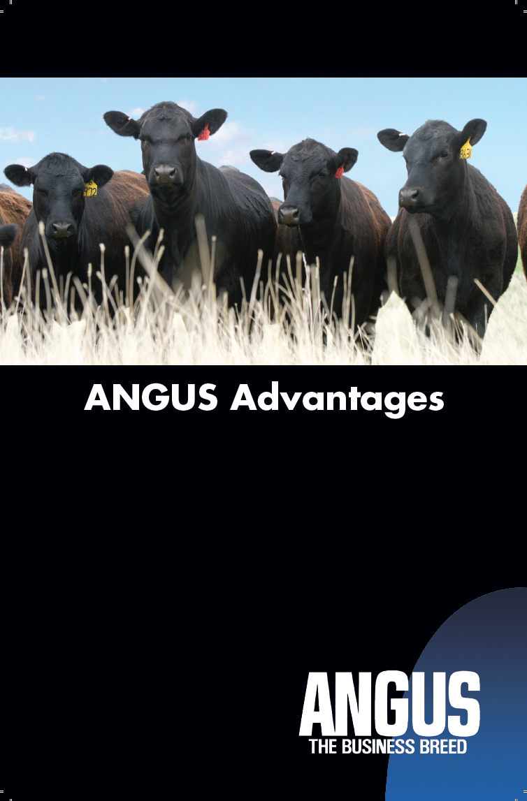 Angus Literature – Angus Supply Store