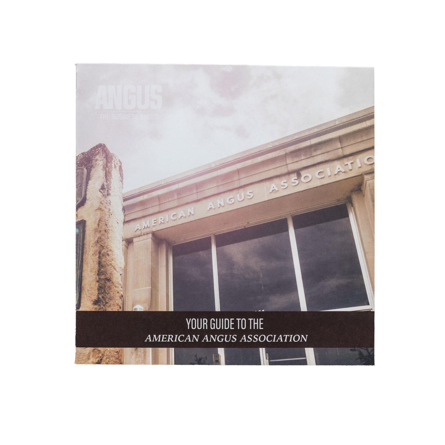 Guide to the Association – Angus Supply Store