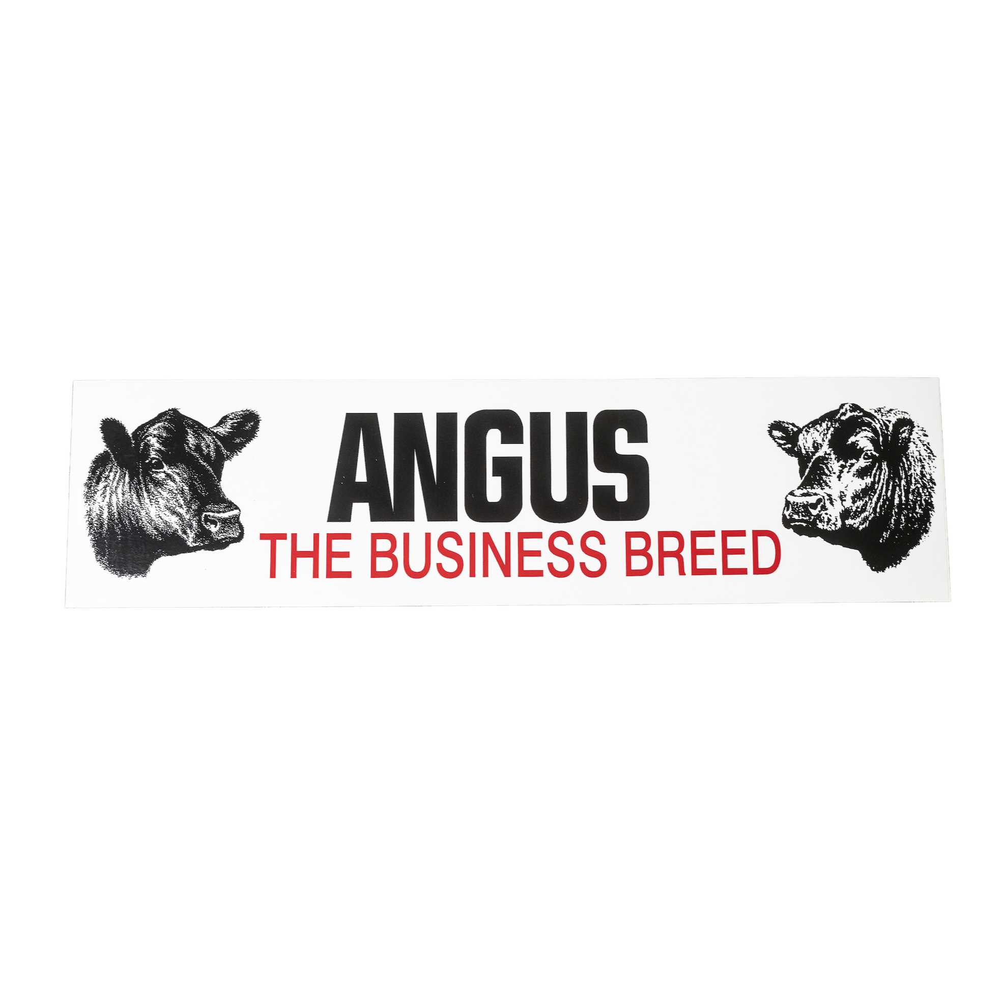Angus Bumper Sticker – Angus Supply Store
