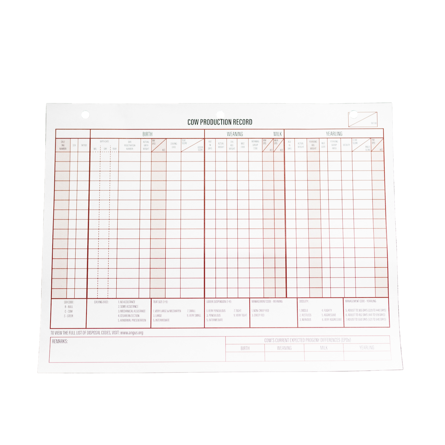 Cow Production Record Sheet Set (Set of 12) – Angus Supply Store
